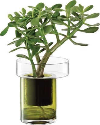 LSA International Selbstbew&auml;ssernder Balkon-Pflanzgef&auml;&szlig;, 19,1 cm, 16,25 cm, transparent/olivgr&uuml;n