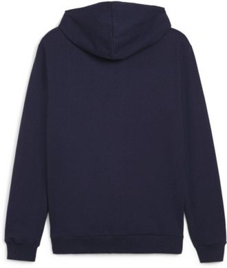 Puma Hoodie TeamGoal CasuaLongsleeve Hooded Jacket