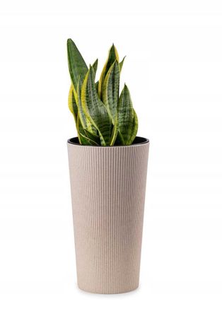 HowHomely Blumentopf Gross Hoch 47 cm mit Pflanzk&uuml;bel Einsatz 26 cm Durchmesser - Beige Pflanzk&uuml;bel Gro&szlig; aus Kunststoff f&uuml;r Deko Wohnzimmer Garten oder Terrasse