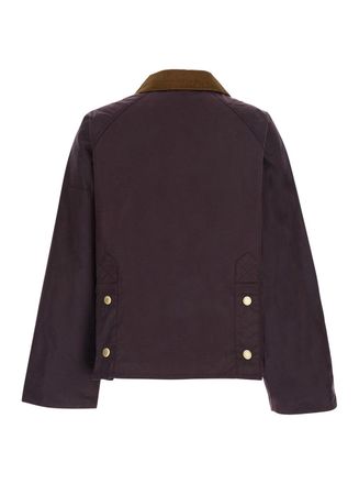 Barbour Cottingham Coat - Burgundy