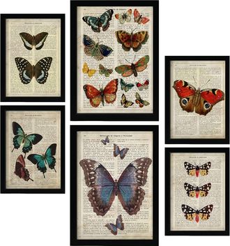 Nacnic Schmetterlinge Postern. Vintage Papier Stil Plakate mit Enzyklopädie Hintergründen. Bunte Schmetterlinge. Innenarchitektur und Dekoration. A4 & A3