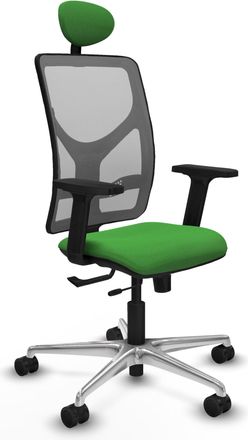 Piqueras y Crespo B&uuml;rostuhl mit 2D-Armlehnen, h&ouml;henverstellbarer Lendenwirbelst&uuml;tze und festem Kopfteil, ausgestattet mit Syncro/Traslack und Schneideschaum, Grau/Gr&uuml;n