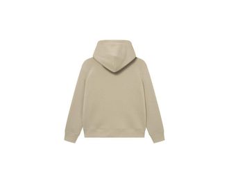 GANT Kapuzenpullover Shield Damen Hoodie, Pullover, Sweatshirt, Hoody, Langarmshirt