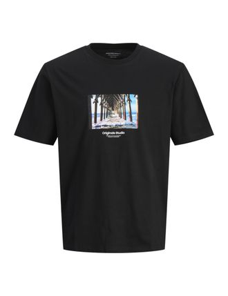 Jack & Jones Jorvesterbro Picture Tee Ss C.N Pls