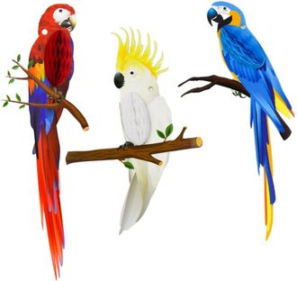 Valiclud Tropische Papageien Papier Wabendekorationen 3 Stück Abnehmbar Farbenfroh Für Sommer Und Hawaii Partys