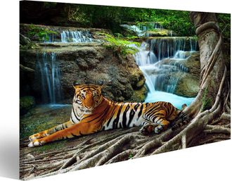 Islandburner Bild auf Leinwand Indochina Tiger Raubkatze Panthera Tigris Corbetti Tiere Leinwandbild Wandbild Prime Bilder f&uuml;r Wohnzimmer etc