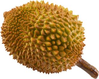 Cabilock K&uuml;nstliche Durian Frucht Dekoration Realistische Leichte Deko F&uuml;r Zuhause Fotografie Partys K&uuml;nstliche Frucht F&uuml;r Kreative Gestaltung