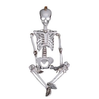 Generic Halloween-Skelett komplett für den Körper - Knochenfigur in Lebensgröße aus Harz | Realistisches Skelett für Dekoration von Spukhaus, gruselige Friedh