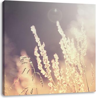 Pixxprint Gräser bei abendlicher Dämmerung, Größe: 60x60 cm, Leinwandbild Quadratisch, Wandbild, Kunstdruck, fertig bespannt