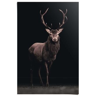 Reinders Poster, Deer on Black, Schlafzimmer, Poster, Wanddeko, Room Decor, 150 gr. gl&auml;nzend Bilderdruckpapier, Braun, 91,5 x 61cm