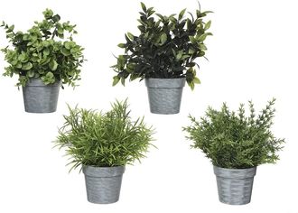 Decoris Kunstpflanze Kräuter 21cm x 1 Stück Sortiert im Plastik Topf Zink Optik Grünpflanzen künstlich