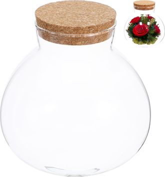 Yarnow Glasterrarium Runder Glasbeh&auml;lter Mit Korkverschluss F&uuml;r Diy Mikrolandschaft Pflanzenterrarium Glasflasche Vorratsflasche Als Haushaltsbedarf Und Mikr
