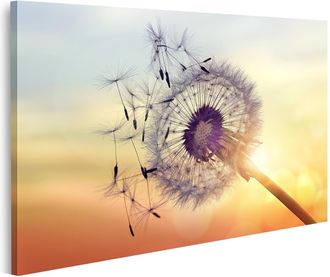 Islandburner Bild auf Leinwand Pusteblume im Sonnenuntergang am Horizont mit weichen Farben Bilder Wandbilder Poster