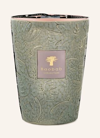 Baobab Baobab Collection Duftkerze Paz Colombe grau