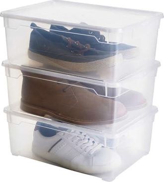 Rotho Clear 3er-Set Aufbewahrungsbox 10l mit Deckel, Kunststoff (PP) BPA-frei, transparent, 3 x 10l (36.0 x 26.0 x 14.0 cm)