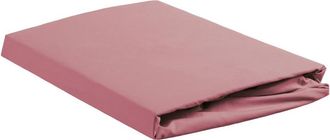 Ambiante Renforcé-Spannbettlaken für 35cm hohe Matratzen Cotton Uni Farbe Pink Größe 180x220