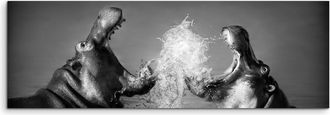 Paul Sinus Art Sinus Art Leinwandbild 120x40cm Tierfotografie - Nahaufnahme kämpfender Nilpferde