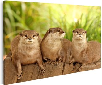 Islandburner Bild auf Leinwand Drei Otter auf einem Baumstamm im Gr&uuml;nen Hintergrund Bilder Wandbilder Poster