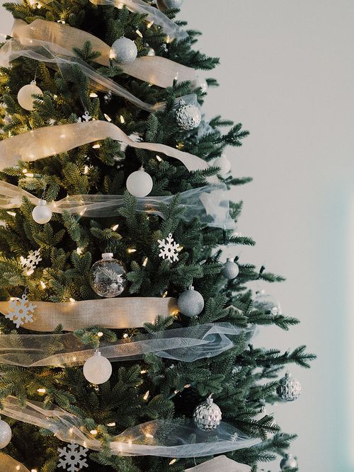 Christbaum mit weißen Kugeln und zwei Geschenkbändern.