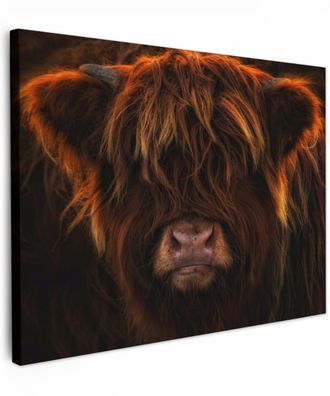 MuchoWow &copy; Leinwand 80x60 cm Deko Schlafzimmer Aesthetic Leinwandbilder Wohnzimmer Gem&auml;lde Foto Geschenk Living Room Decoration Schottisches Hochlandrind - Hig