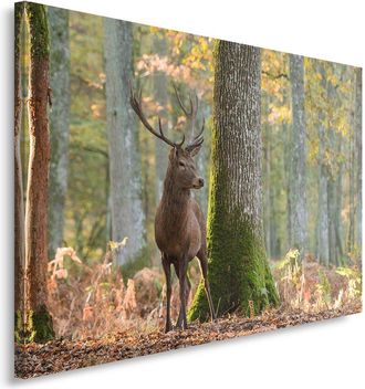 Feeby Bilder Hirsch 80x60 cm 1 Teilig Wohnzimmer Schlafzimmer Büro Flur Küche Wandbilder Leinwandbilder Modern Bild auf Leinwand Wanddekoration Kunstdruck D