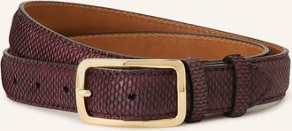 Reptiles House G&uuml;rtel Blind rot
