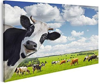Islandburner Tableau sur Toile Vache dr&ocirc;le regardant la cam&eacute;ra avec Une Prairie Rurale Verte en arri&egrave;re-Plan Cadre Affiche Poster Murale Tableaux