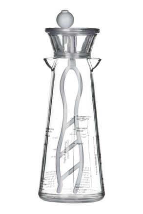 Premier Housewares Salatdreasing-Mixer, Kunststoff, 7,5 cm Durchmesser x 22 cm H&ouml;he