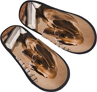 Generic Chaussons Femme Homme Professeur Intelligent De Teckel Chausson DHiver Antid&eacute;rapant Chaud Chaussons Confortable Maison Pantoufles Pour Ext&eacute;rieur Int&eacute;r