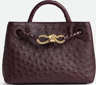 Bottega Veneta Mini Andiamo - Bottega Veneta