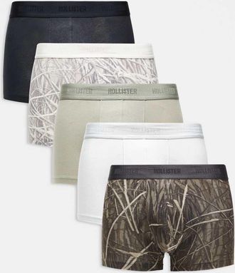 Hollister 5er-Pack Trunk-Unterhosen in verschiedenen Farben mit farblich abgestimmtem Logo-Bund-Bunt