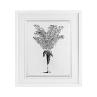 Stupell Industries Vintage & Minimal Palm Birke Gerahmter Druck unter Glas, Design von Lettered and Lined, 53,3 x 43,2 cm