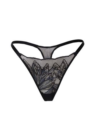 Triumph String Crazy Stupid Love