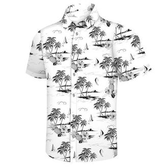 Generic Chemise hawa&iuml;enne amusante pour homme - Chemise d&eacute;t&eacute; l&eacute;g&egrave;re - Chemise tropicale tendance - Coupe ample - Haut boutonn&eacute; - Respirant - Manches longues -