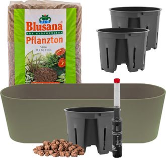 Leni Flori Jardiniere Blumentopf Kapern/grün länglich 36 cm Hydrokultur-Komplett-Set mit Übertopf Hydro-Töpfen Wasserstandsanzeiger & Pflanzton