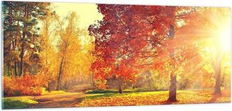 Arttor Panorama Bilder auf Glas 100x40cm Glasbild Park Herbst Baum Groß Wanddeko Bild im Glas Schlafzimmer Küche Wandbilder Dekoration Wohnzimmer Modern Wall