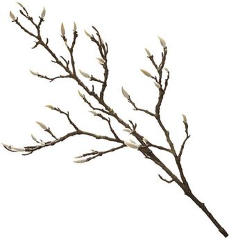 Fink MAGNOLIENKNOSPENZWEIG/Dunkelbraun/H.101,5cm