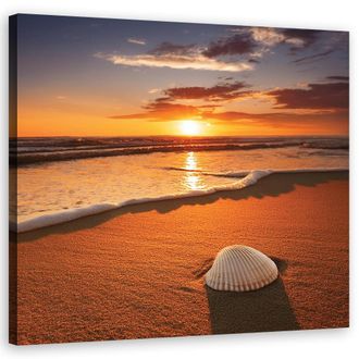 Feeby Leinwand Bilder - Muscheln Natur - Canvas 50x50 cm - Deko Wohnzimmer - Wandbilder Schlafzimmer - Deko Aesthetic - Wand Deko - Leinwand Gro&szlig; - Deko Zim