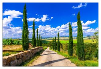 Wallario selbstklebendes Poster - Zypressenweg in der Toskana, Aufkleber in Premiumqualit&auml;t, Klebefolie Gr&ouml;&szlig;e: 61 x 91,5 cm (Maxiposter)