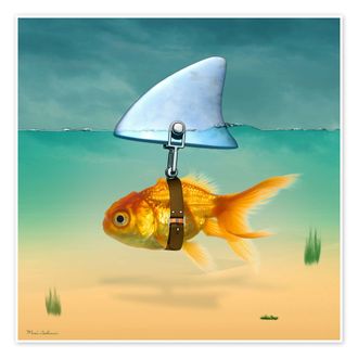 Posterlounge Goldfisch Poster von Mark Ashkenazi 60 x 60 cm Wandbilder Wanddeko