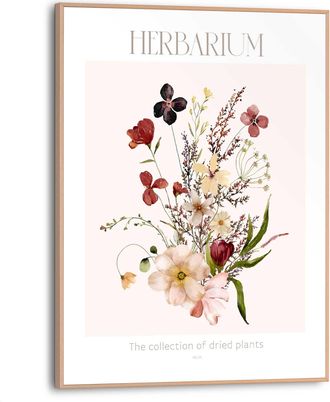 Reinders Gerahmtes Bild, Herbarium, Wohnzimmer, Poster, Wanddeko, Room Decor, MDF, Mehrfarbig, 40 x 30cm