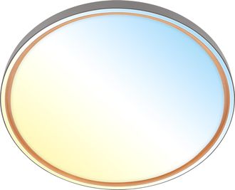 Briloner LED Deckenlampe mit Fernbedienung, dimmbar, CCT warmwei&szlig; bis kaltwei&szlig;, LED Lampe, Deckenleuchte, Wohnzimmerlampe, K&uuml;chenlampe, Deckenbeleuchtung, Flur