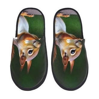 Generic Des &Eacute;cureuils Mangent Des Cacahu&egrave;tes Dans LArbre Unisexe Slippers Confortable Chaussons Respirantes Pantoufles Pour Ext&eacute;rieur Maison Hiver M