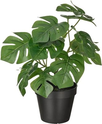 IKEA Ikea FEJKA Künstliche Topfpflanze 12cm In/Outdoor Monstera