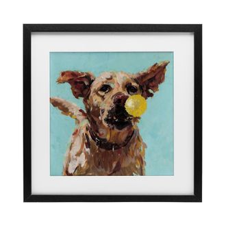 Stupell Industries Studio Bautista Kunstdruck mit Ball, gerahmt, Motiv Hund unter Glas, 40,6 x 40,6 cm, Weiß
