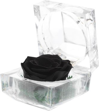Pretyzoom Konservierte Rose in Glaskuppel mit Schleife Langlebige Blume in Geschenkbox für Valentinstag Jubiläum Geburtstag Hochzeitsgastgeschenk (Schwarz)
