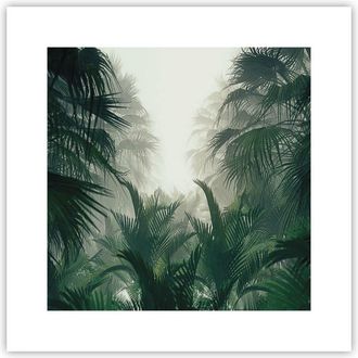 Arttor Wandposter Art Prints 30x30cm Poster ohne Rahmen Dschungel Bl&auml;tter Palmen K&uuml;che Wanddeko Bild Wand Kunstdruck Deko Wandbilder Dekoration Wohnzimmer Sc