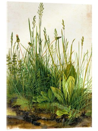 Posterlounge Das gro&szlig;e Rasenst&uuml;ck Acrylglasbild von Albrecht D&uuml;rer 30 x 40 cm Gr&uuml;n Wandbilder Wanddeko