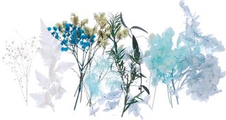 Valiclud Echte Getrocknete Blumen Satz Gepresste Trockenblumen f&uuml;r Selbstgemacht Bastelmaterial Nat&uuml;rliche Langlebige Blumen f&uuml;r Kunsthandwerk und Foto Requisi