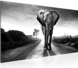 Runa Art Wandbild Afrika Elefant 1 Teilig 100 x 40 cm Modern Bild auf Vlies Leinwand Tiere Wohnzimmer Schlafzimmer Schwarz Weiss 042612c